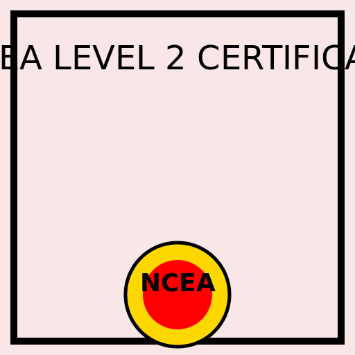 NCEA Level 2 Certificate - "I hope this certificate brings you joy, and ...