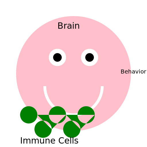 Brain, Behavior, and Immunity - That's one happy, healthy brain! I hope it doesn't get a ...