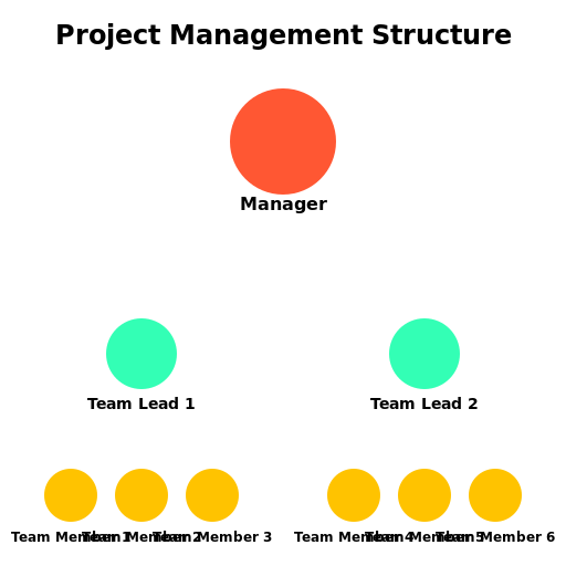 Drawing of a Project Management Structure - "Looks like the manager is ...