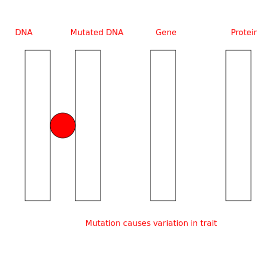 Create canvas and context - Caption: The model illustrates how a ...