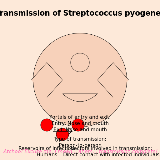 Transmission of Streptococcus pyogenes - Return canvas commands ...