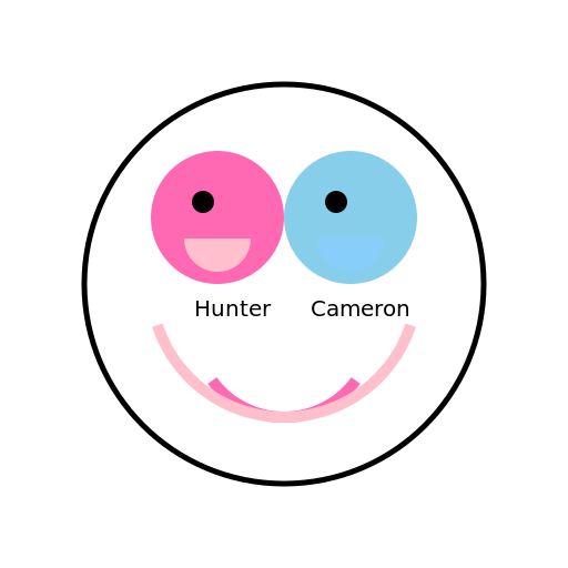 Hunter and Cameron - Return the drawing commands - DrawGPT - Fun & Free ...